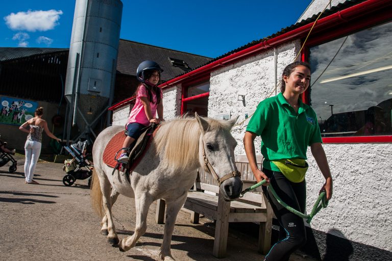 Pony-Rides - Streamvale Open Farm