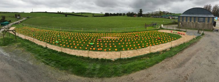 Streamvale Halloween 1 - Streamvale Open Farm