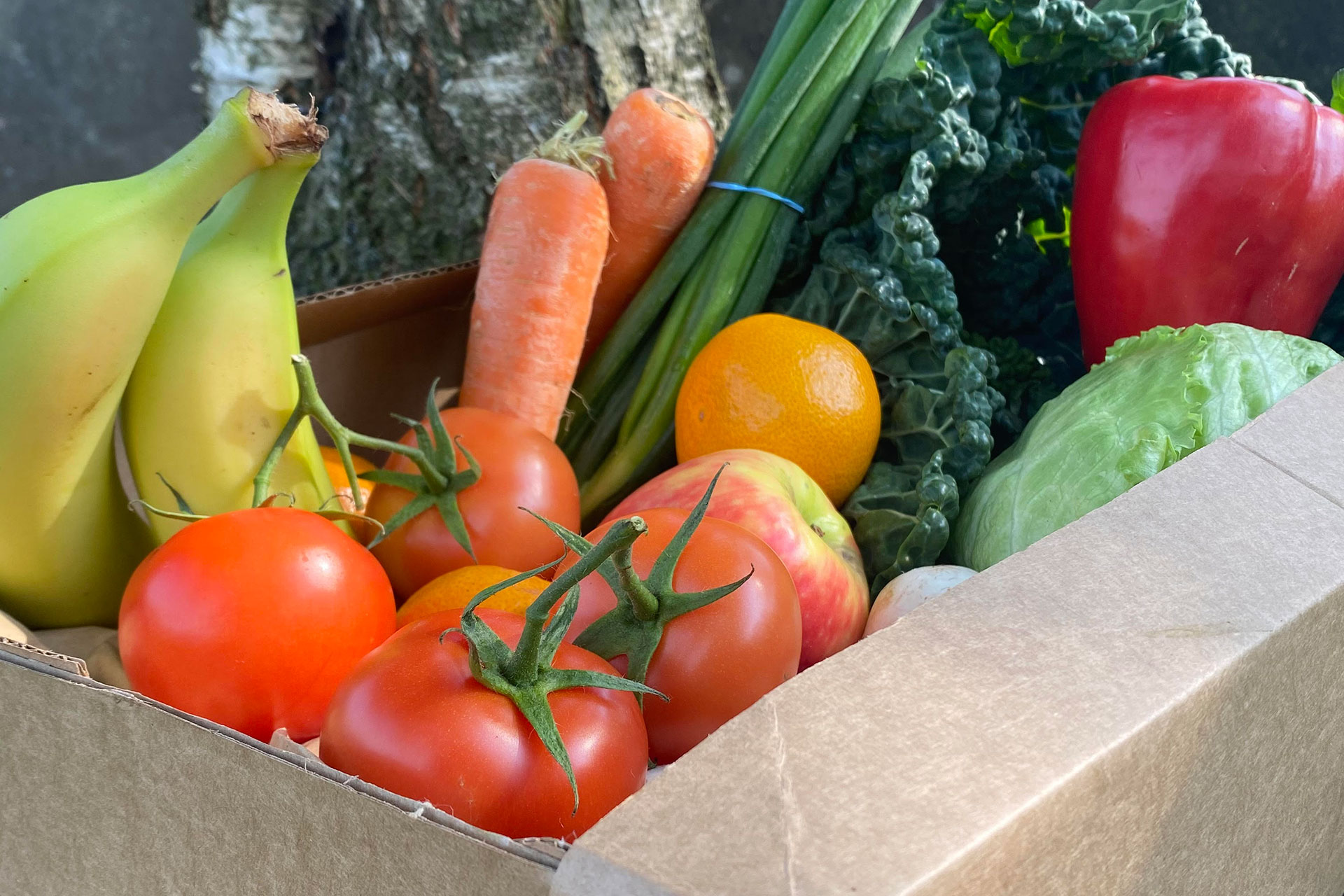 Streamvale Farm - Streamvale Open Farm