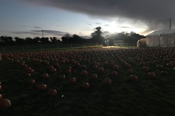 Events - Streamvale Open Farm