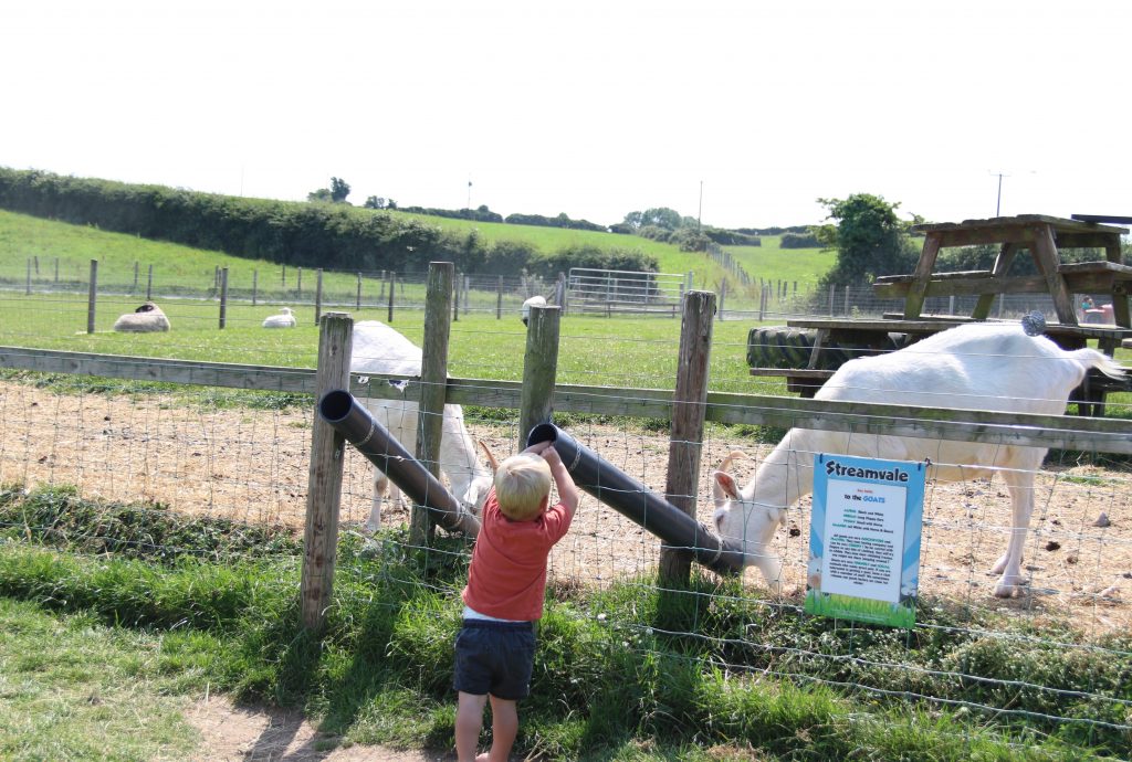 Things to do - Streamvale Open Farm