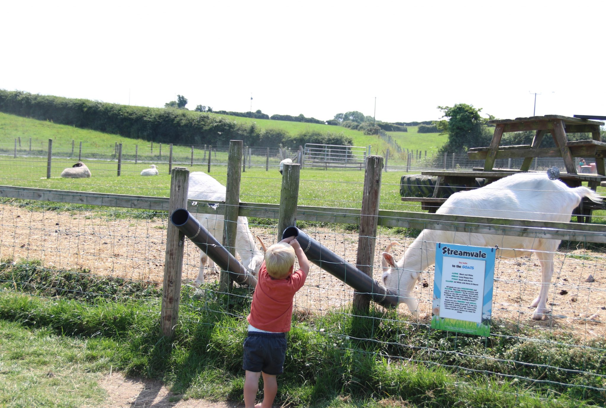 Things to do - Streamvale Open Farm
