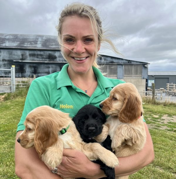 Team Stream - Streamvale Open Farm
