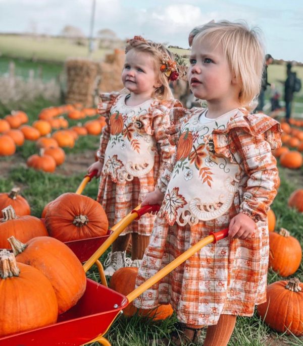 News - Streamvale Open Farm