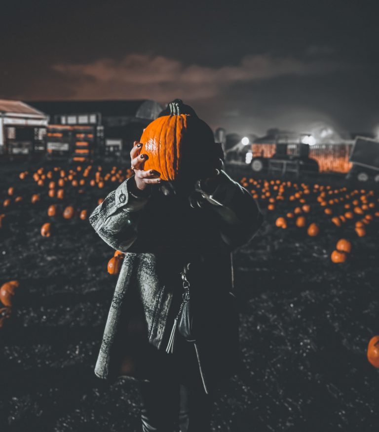 Streamvale Farm - Streamvale Open Farm