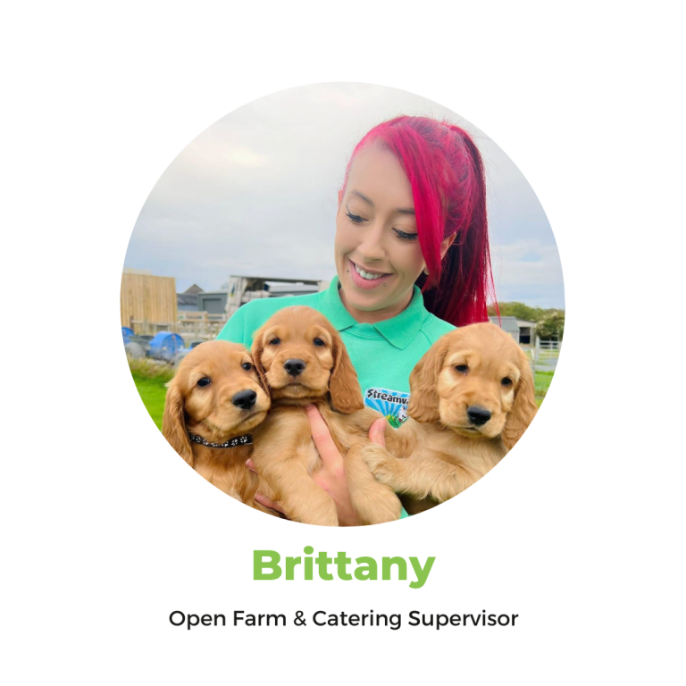 Team Stream - Streamvale Open Farm