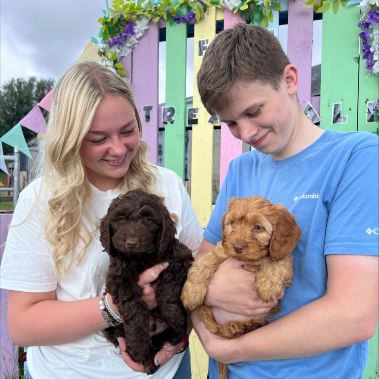 Streamvale Farm - Streamvale Open Farm