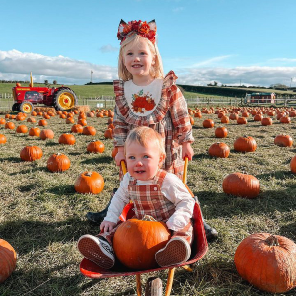 News - Streamvale Open Farm