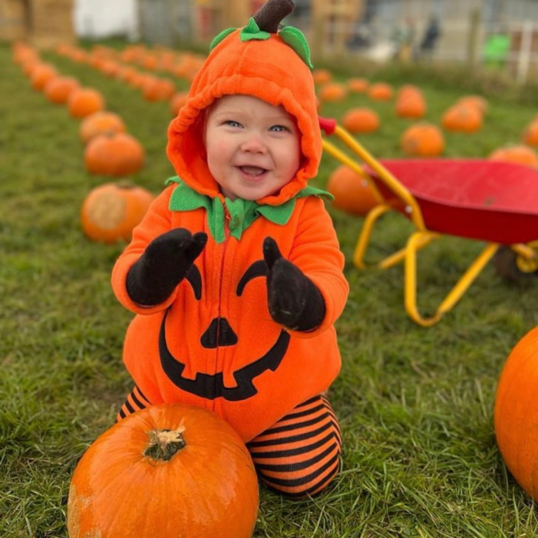 Streamvale Farm - Streamvale Open Farm