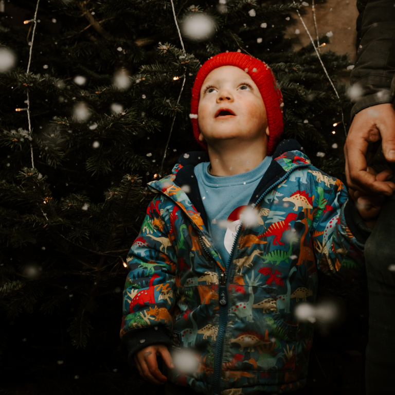 Magical Christmas Experience - Streamvale Open Farm