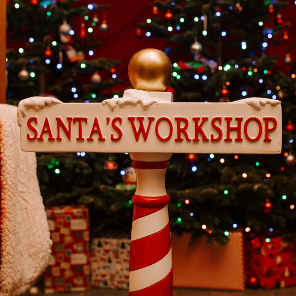 Magical Christmas Experience - Streamvale Open Farm