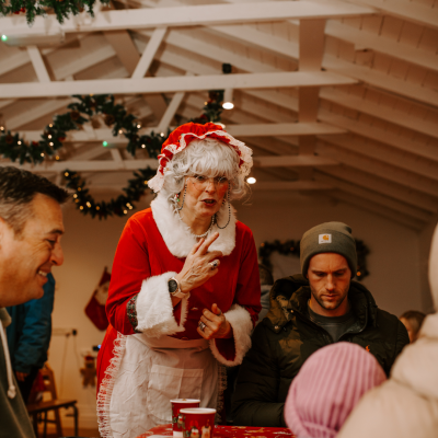 Magical Christmas Experience - Streamvale Open Farm