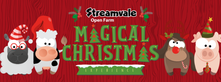 Magical Christmas Experience - Streamvale Open Farm