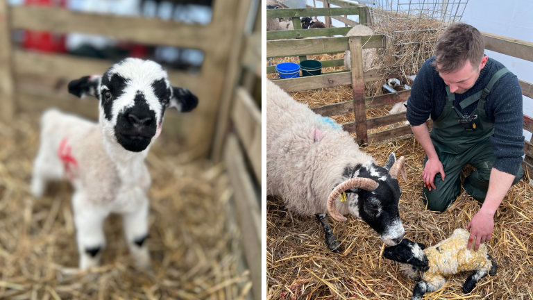 Easter at Streamvale - Streamvale Open Farm