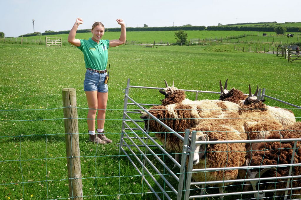 Visit the Farm - Streamvale Open Farm