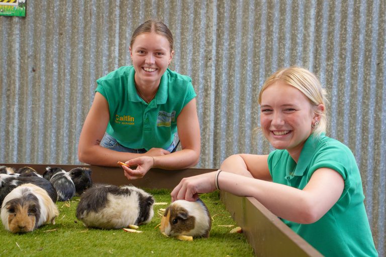 Visit the Farm - Streamvale Open Farm